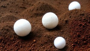 Perlite with Coco Coir: Ultimate Guide to a Perfect Growing Mix ...